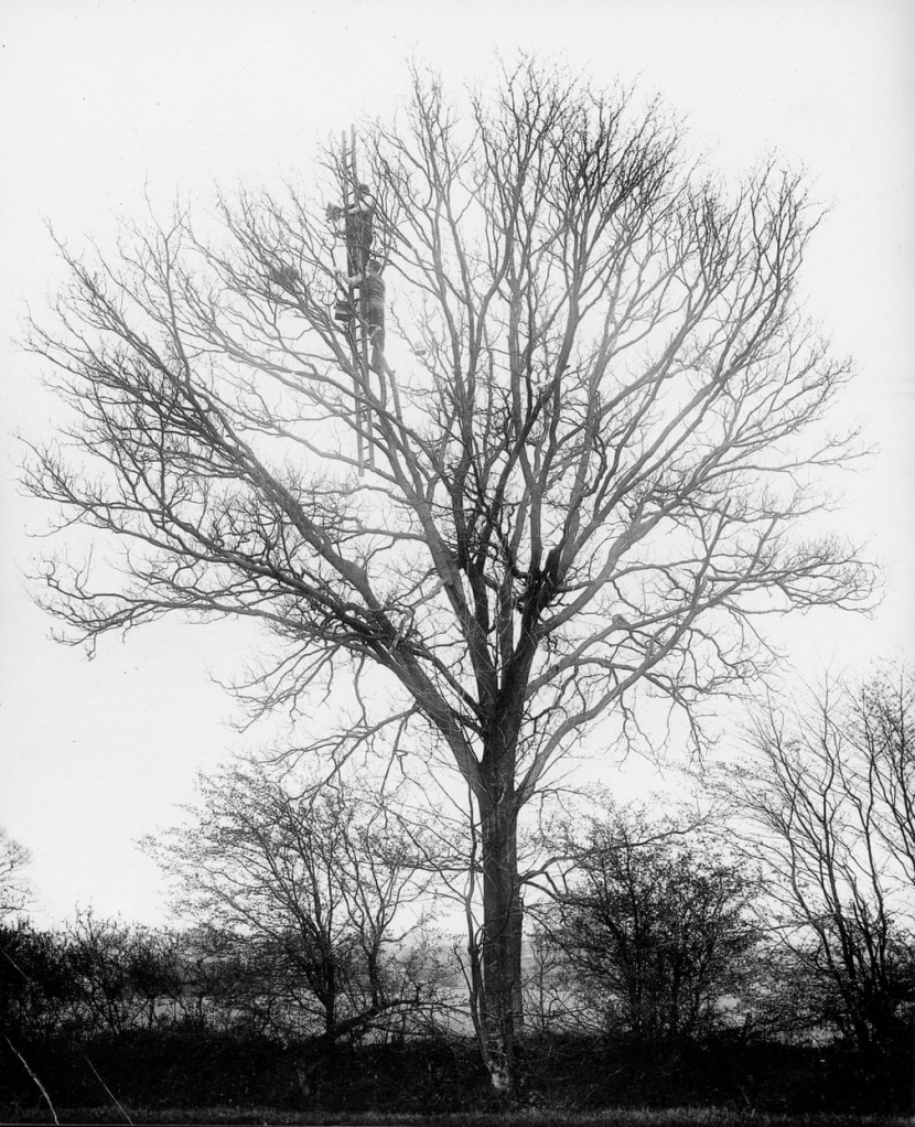 Made in North Yorkshire: Kearton Brothers – North Yorkshire Archives Blog