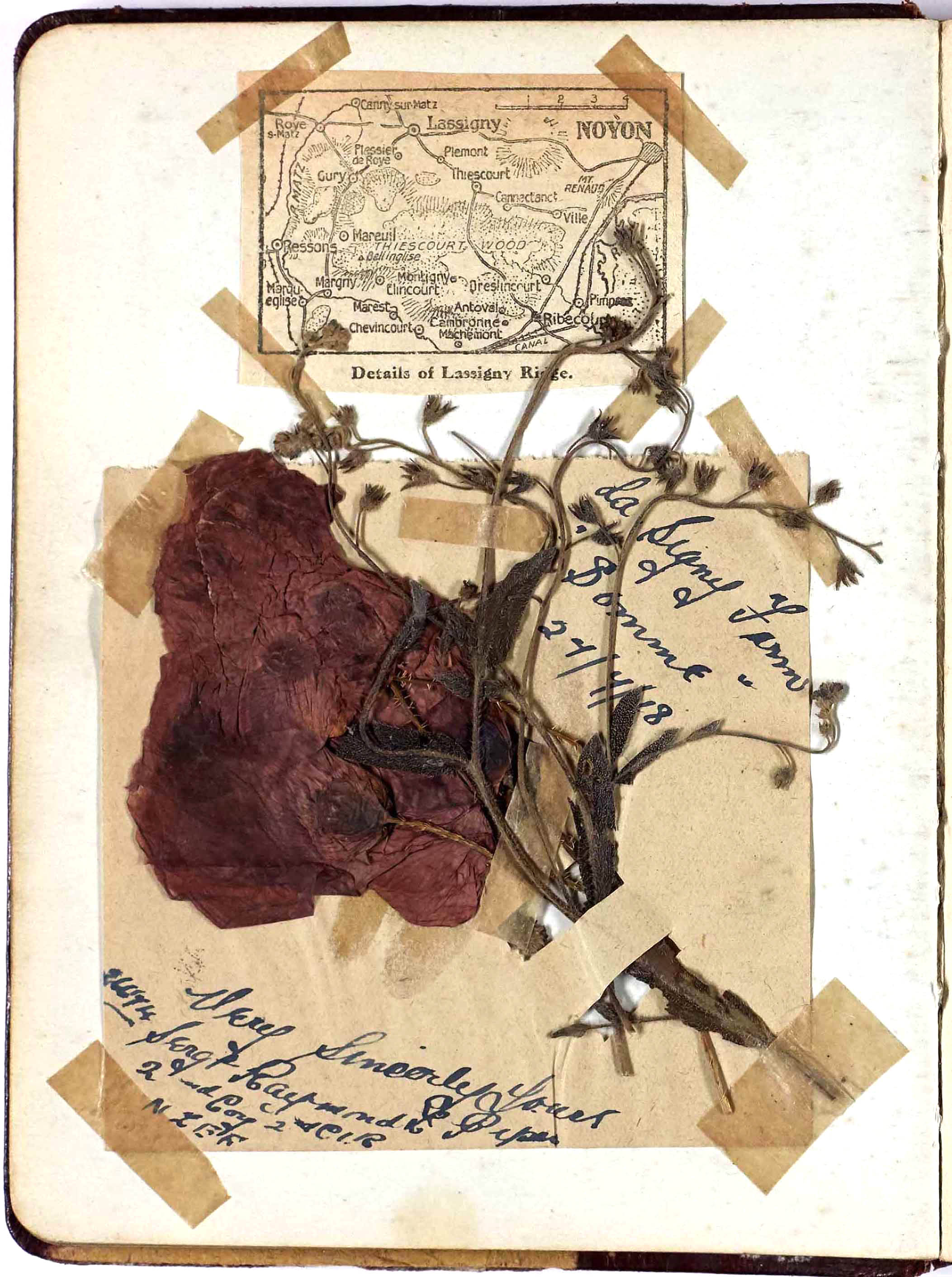 The Poppy from the Somme – North Yorkshire Archives Blog