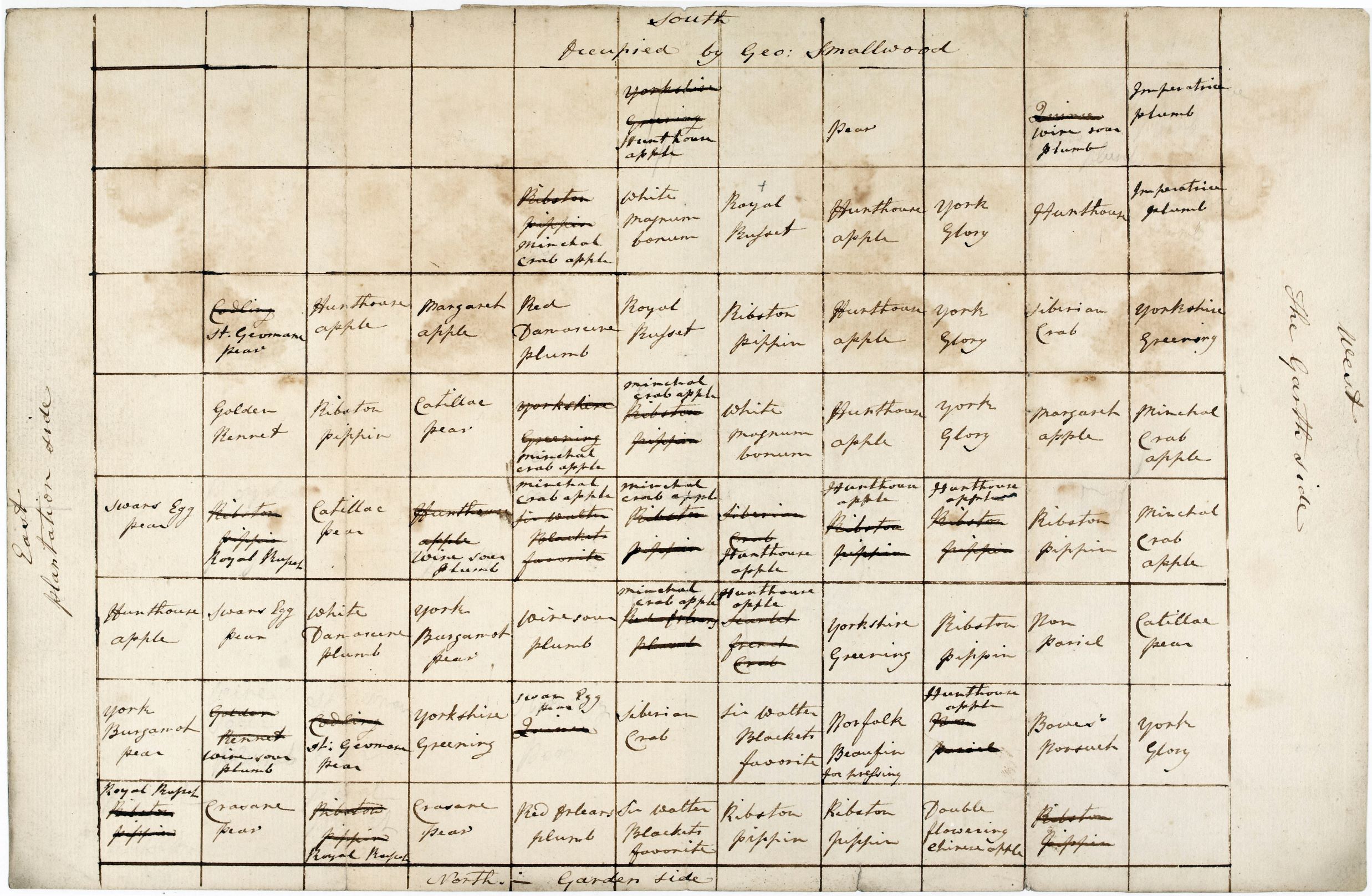 Orchards and Fruit Trees – North Yorkshire Archives Blog