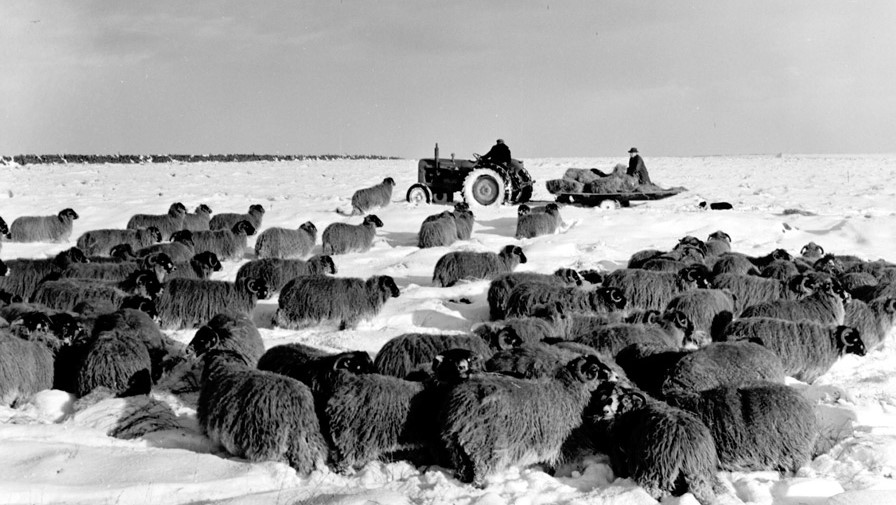 Snow in North Yorkshire – North Yorkshire Archives Blog