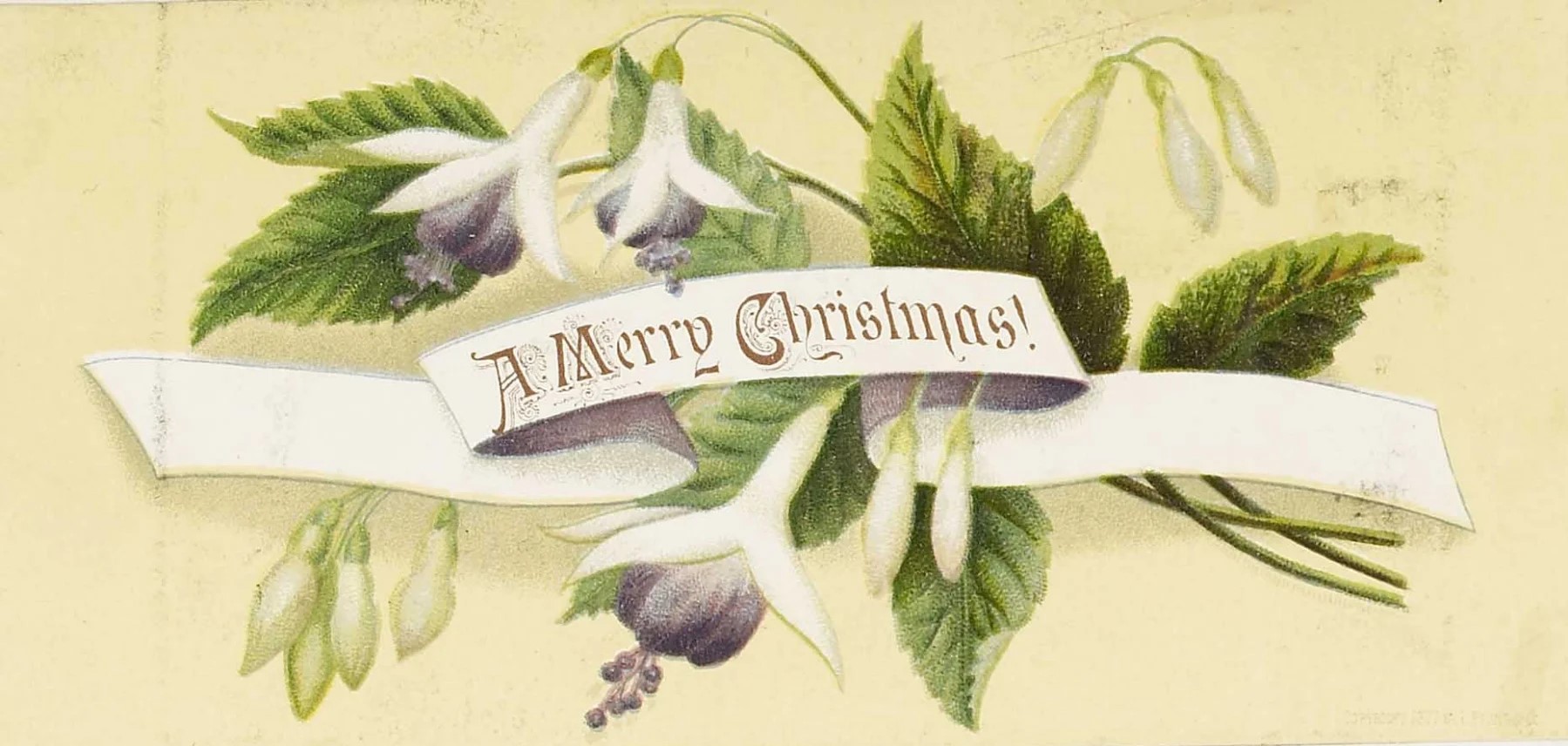 North Yorkshire Archives Blog – Welcome to our blog, sharing our ...